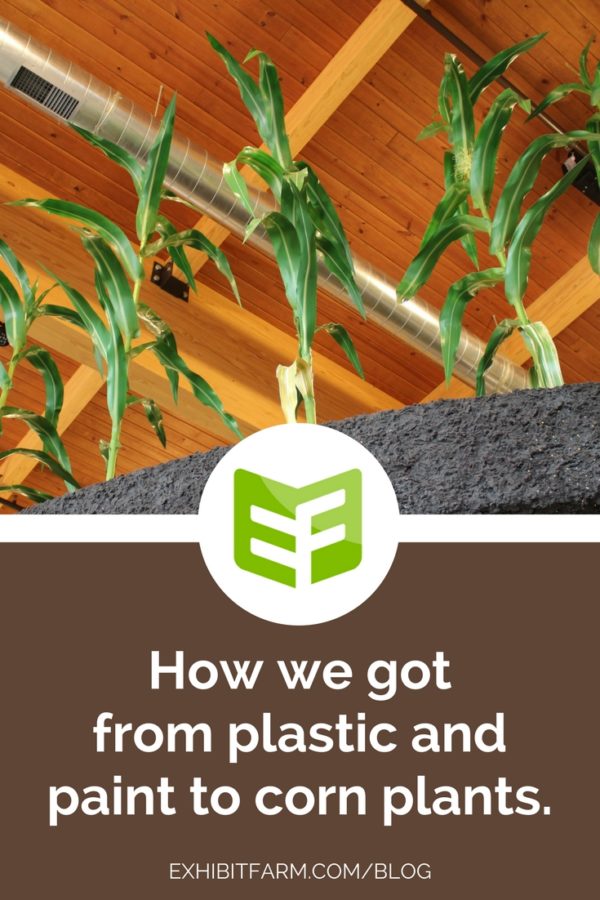 Behind the Scenes: The Making of Artificial Corn Plants - Exhibit Farm ...