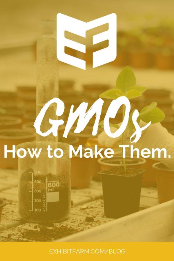 From the Display: How to Make a GMO - Exhibit Farm: The Leader in ...