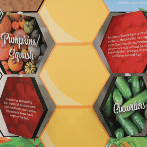 Buzz About Bees Display - Exhibit Farm: The Leader in Agricultural ...