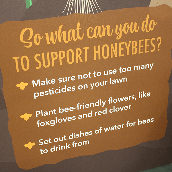 Buzz About Bees Display - Exhibit Farm: The Leader in Agricultural ...