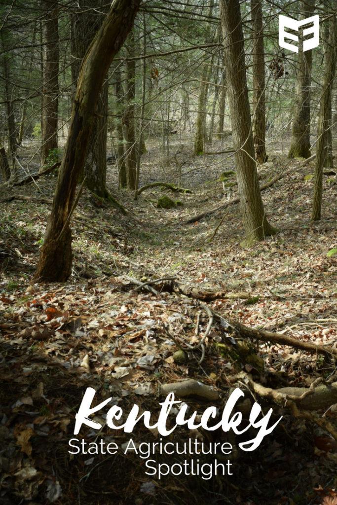 State Ag Spotlight: Kentucky Agriculture - Exhibit Farm: The Leader in ...