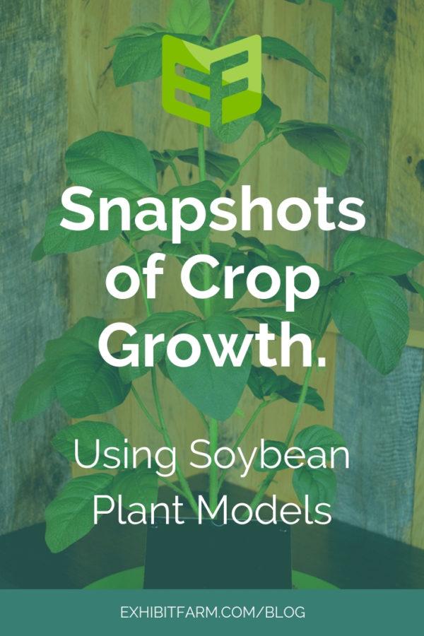 Snapshots of Crop Growth: Using Soybean Plant Models - Exhibit Farm ...