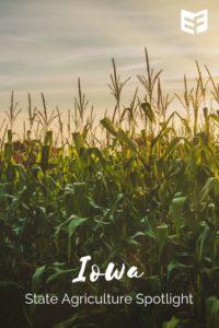 State Ag Spotlight: Iowa Agriculture - Exhibit Farm: The Leader in ...