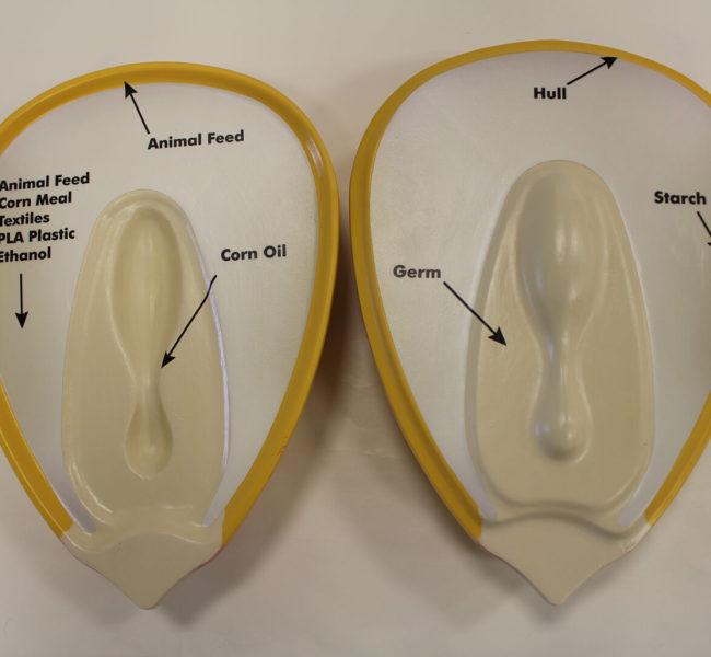 Custom Products - Exhibit Farm: The Leader in Agricultural Exhibits and ...