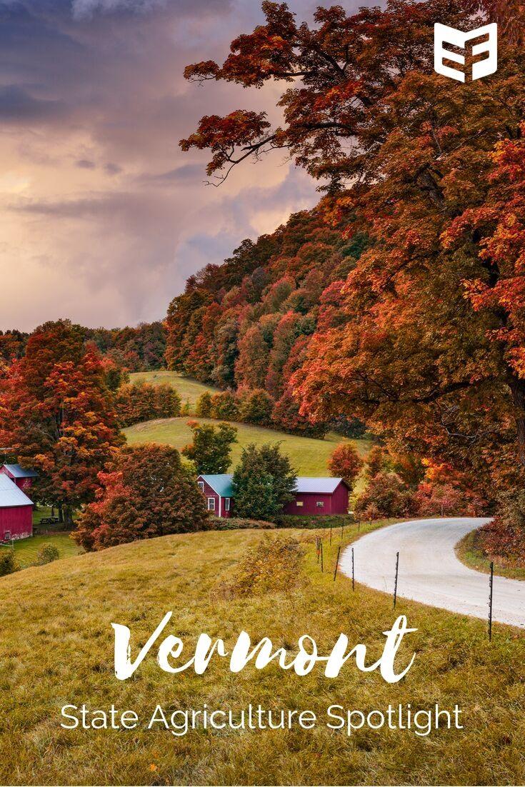 State Ag Spotlight: Vermont Agriculture - Exhibit Farm: The Leader in ...