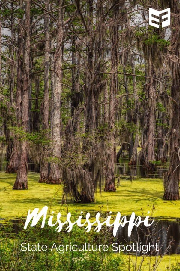 State Ag Spotlight: Mississippi Agriculture - Exhibit Farm: The Leader ...