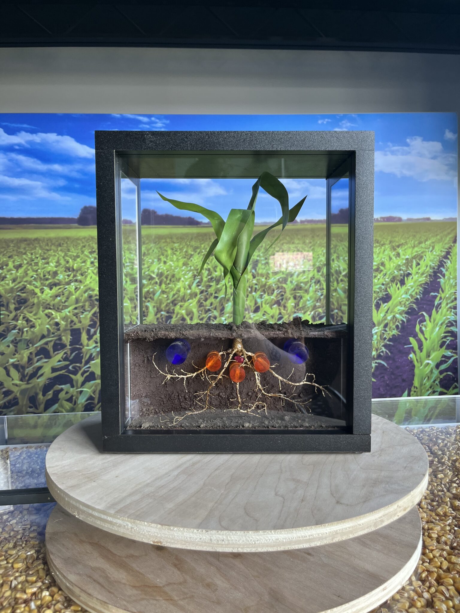 Fertilizer Placement Display - Exhibit Farm: The Leader in Agricultural ...