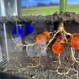 Fertilizer Placement Display - Exhibit Farm: The Leader in Agricultural ...