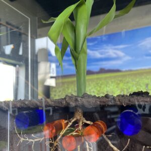 Fertilizer Placement Display - Exhibit Farm: The Leader in Agricultural ...