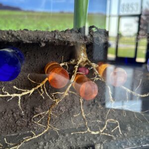 Fertilizer Placement Display - Exhibit Farm: The Leader in Agricultural ...