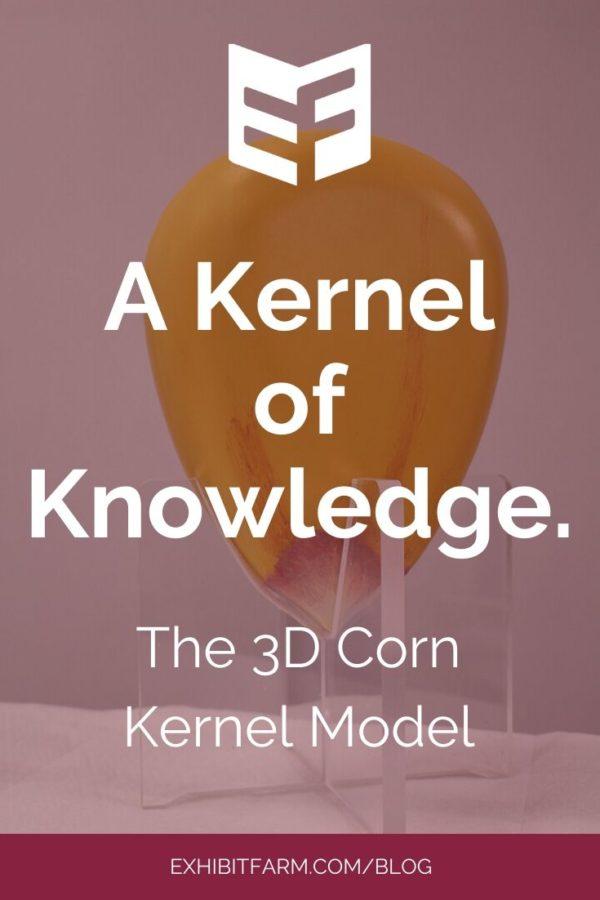 A Kernel of Knowledge: The 3D Corn Kernel Model - Exhibit Farm: The ...