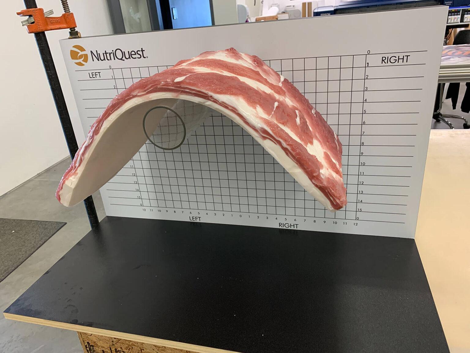 Pork Meat Display - Exhibit Farm: The Leader in Agricultural Exhibits ...