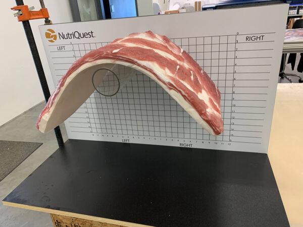 Don't Bite This Bacon! Realistic Fake Meat - Exhibit Farm: The Leader ...