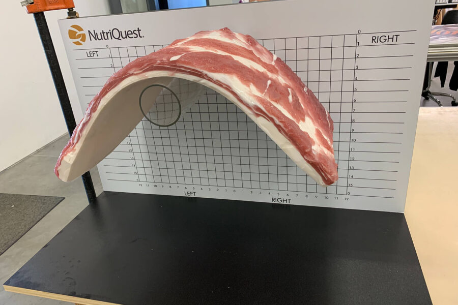 Faux Pork Meat Display - Exhibit Farm: The Leader in Agricultural ...