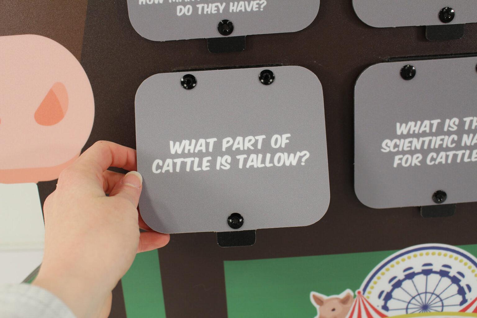 Fun (and Facts) at the Fair: Ag Education at State Fairs - Exhibit Farm ...