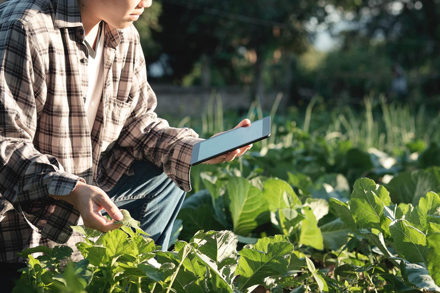Changing Outdated Ideas about Agriculture - Exhibit Farm: The Leader in ...