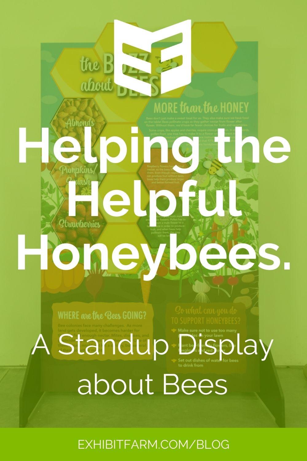 Helping the Helpful Honeybees: A Standup Display about Bees - Exhibit ...