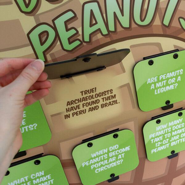 Peanut Display - Exhibit Farm: The Leader in Agricultural Exhibits and ...