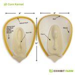 Corny Cornhole - Exhibit Farm: The Leader in Agricultural Exhibits and ...