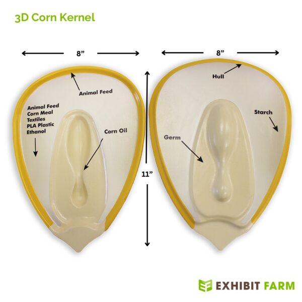 Behind the Scenes: The Making of Artificial Corn Plants - Exhibit Farm ...