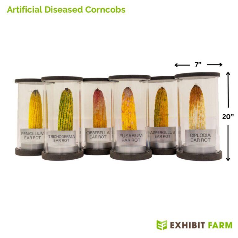 Commodity-to-Product Display - Exhibit Farm: The Leader in Agricultural ...
