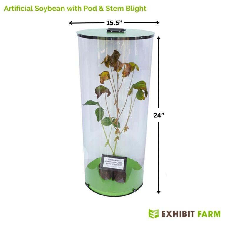 Soybean Bag Toss - Exhibit Farm: The Leader in Agricultural Exhibits ...