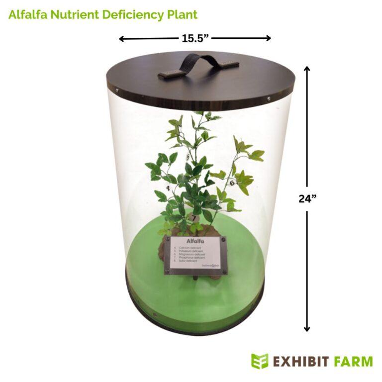 Commodity-to-Product Display - Exhibit Farm: The Leader in Agricultural ...