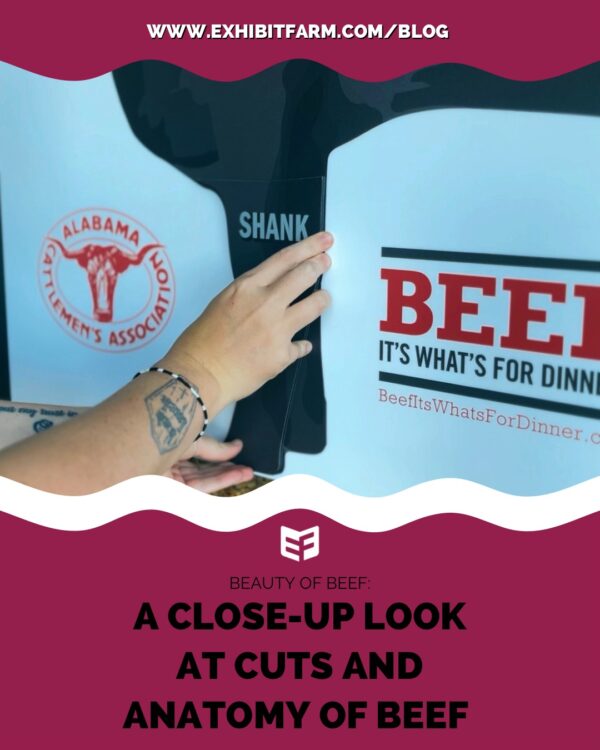 Beauty of Beef: A Close-up Look At Cuts and Anatomy of Beef - Exhibit ...