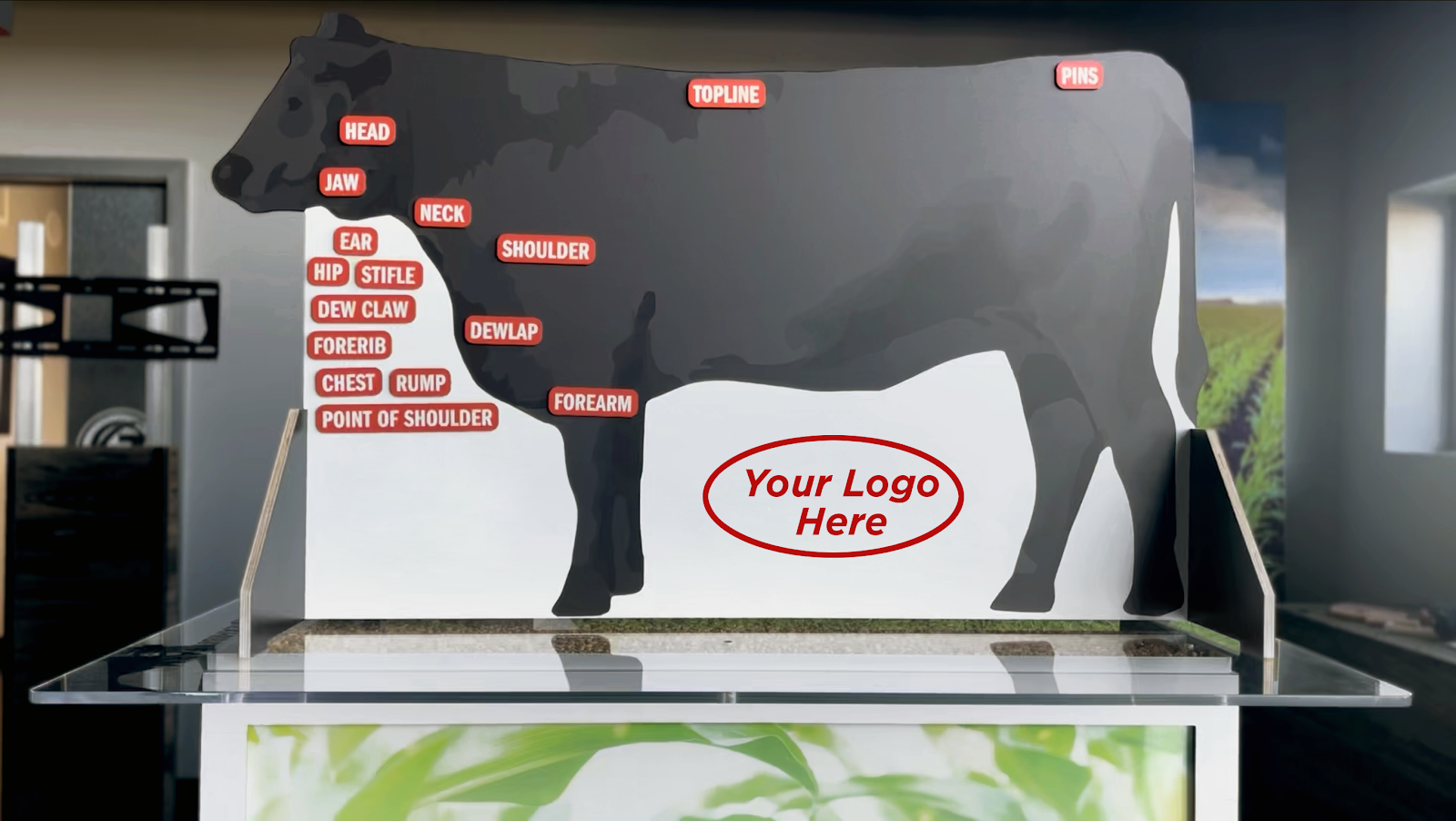Beauty of Beef: A Close-up Look At Cuts and Anatomy of Beef - Exhibit ...