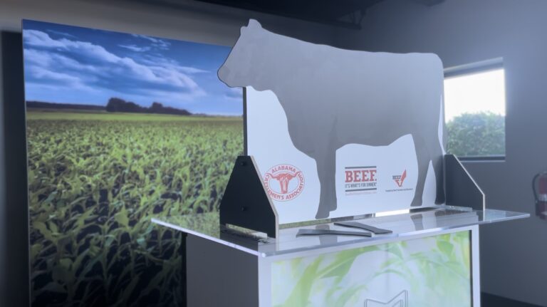 Beef Cuts and Anatomy Display - Exhibit Farm: The Leader in ...