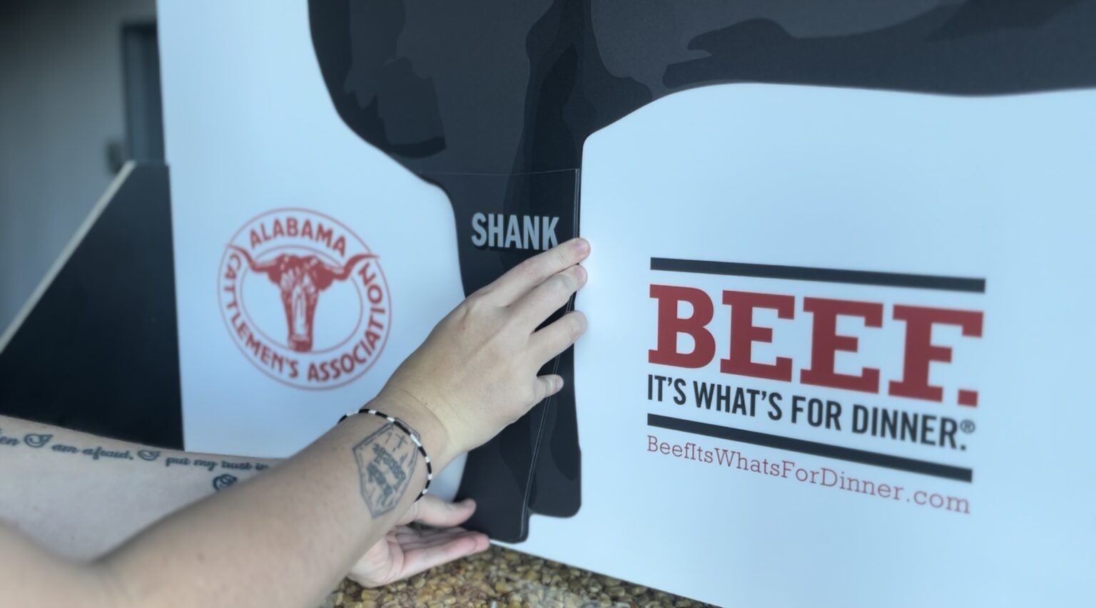 Beef Cuts and Anatomy Display - Exhibit Farm: The Leader in ...