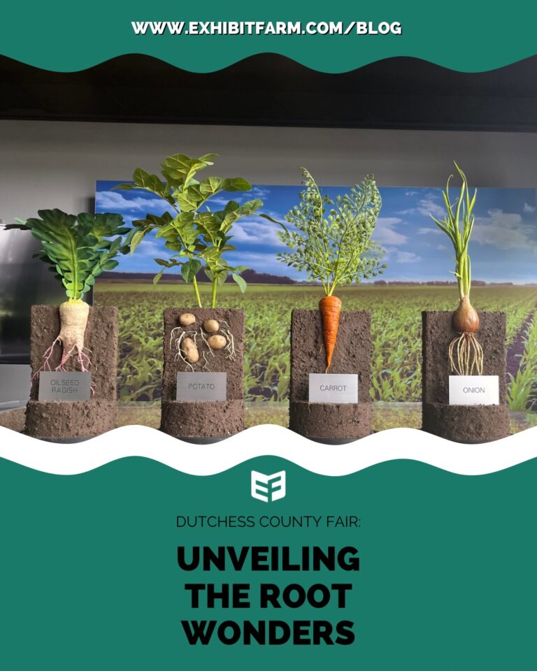 Dutchess County Fair: Unveiling The Root Wonders - Exhibit Farm: The ...