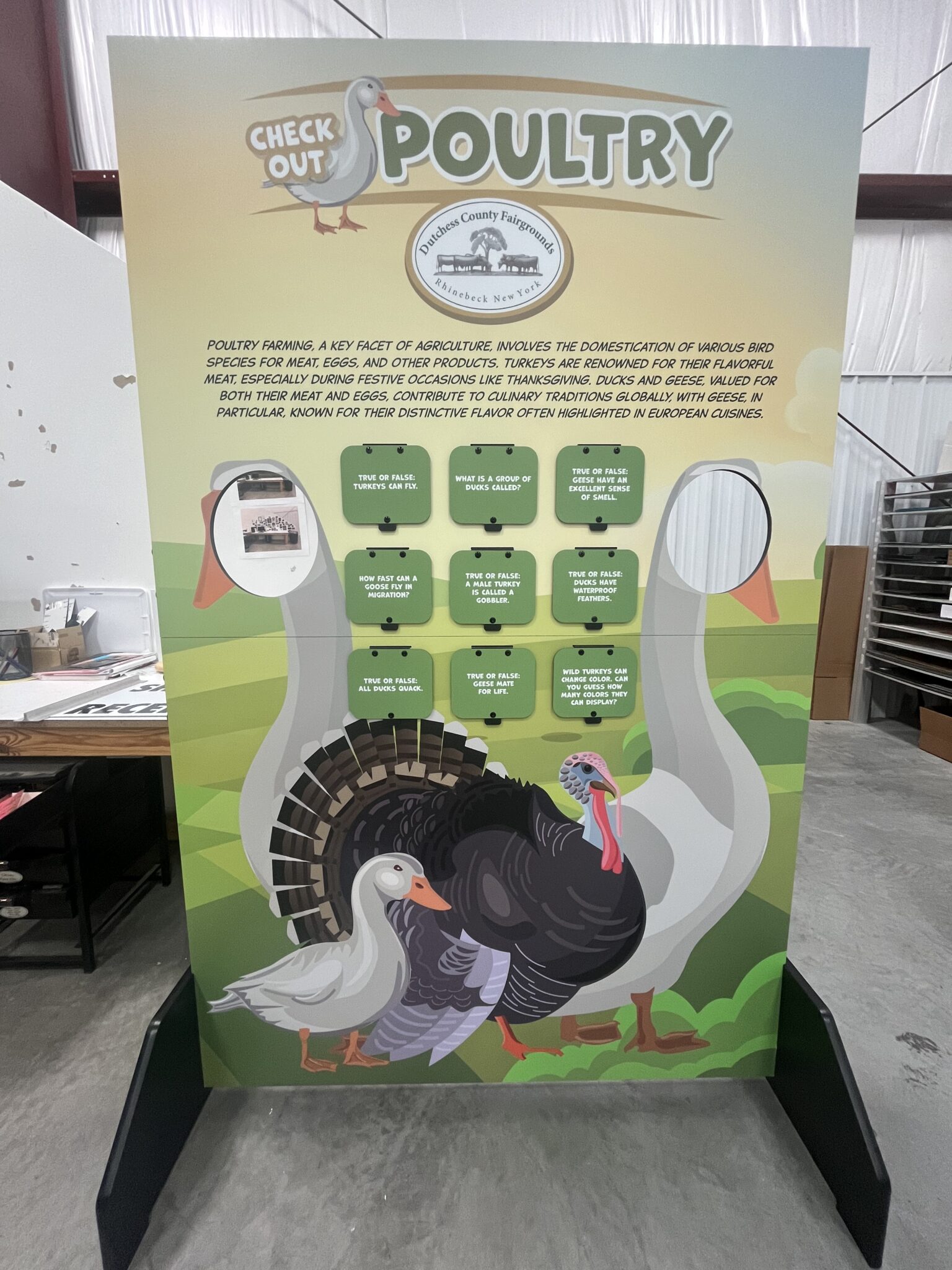 Poultry Photo Op - Exhibit Farm: The Leader in Agricultural Exhibits ...