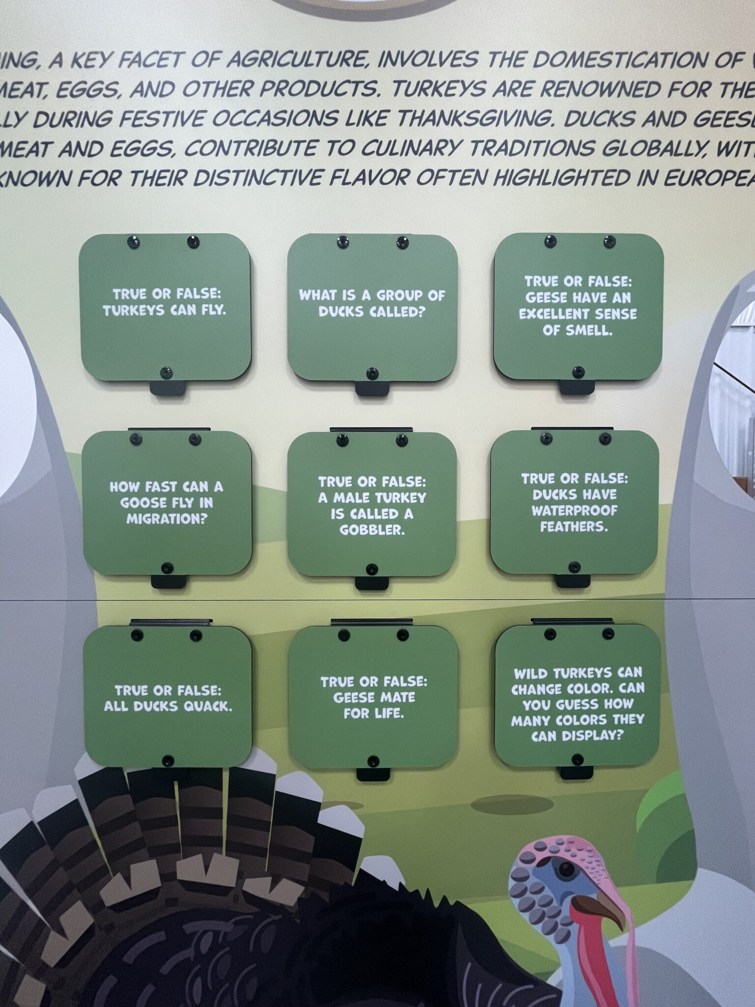 Home - Exhibit Farm: The Leader in Agricultural Exhibits and Displays