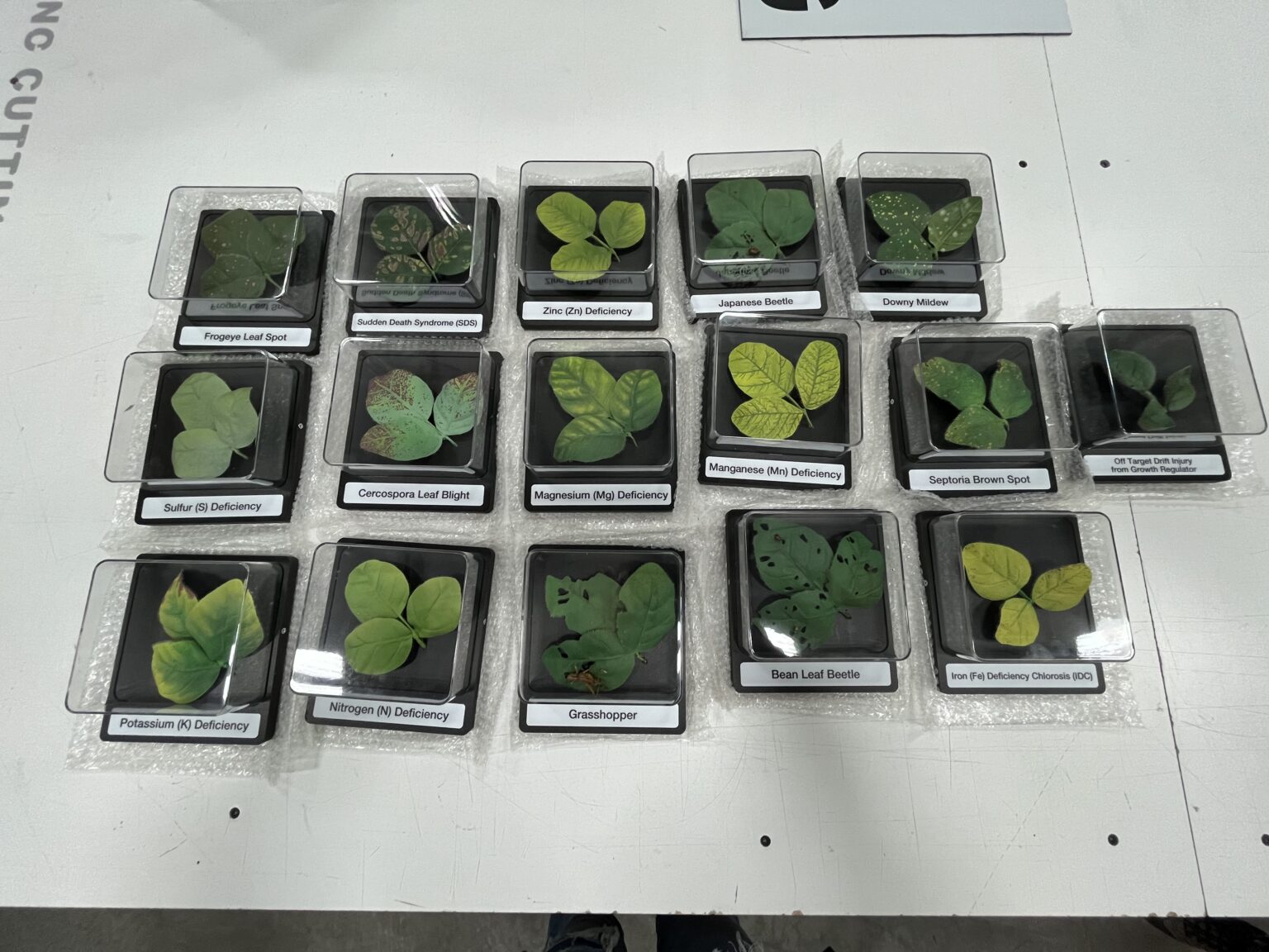 Home - Exhibit Farm: The Leader in Agricultural Exhibits and Displays