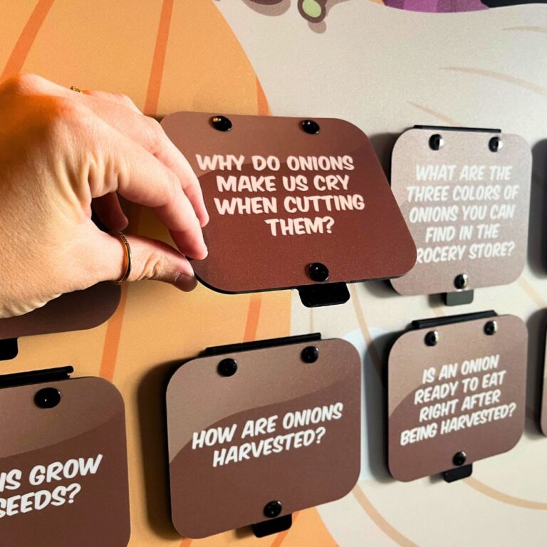 Onion Display - Exhibit Farm: The Leader in Agricultural Exhibits and ...