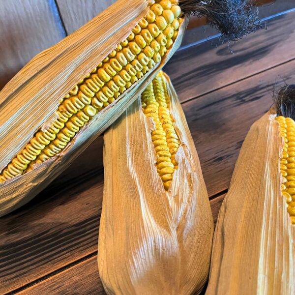 Realistic Corn Models: From Field to Classroom - Exhibit Farm: The ...